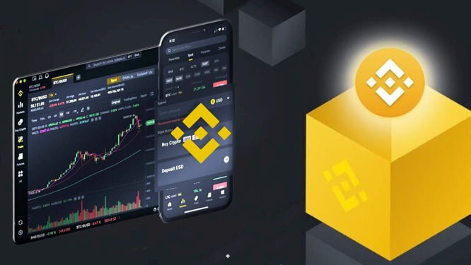 Binance Smart Chain | Binance Smart Chain Wallet | Best Blockchain ...
