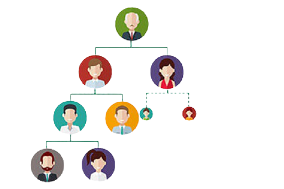 MLM Generation Software For Generation Plan in Delhi, India