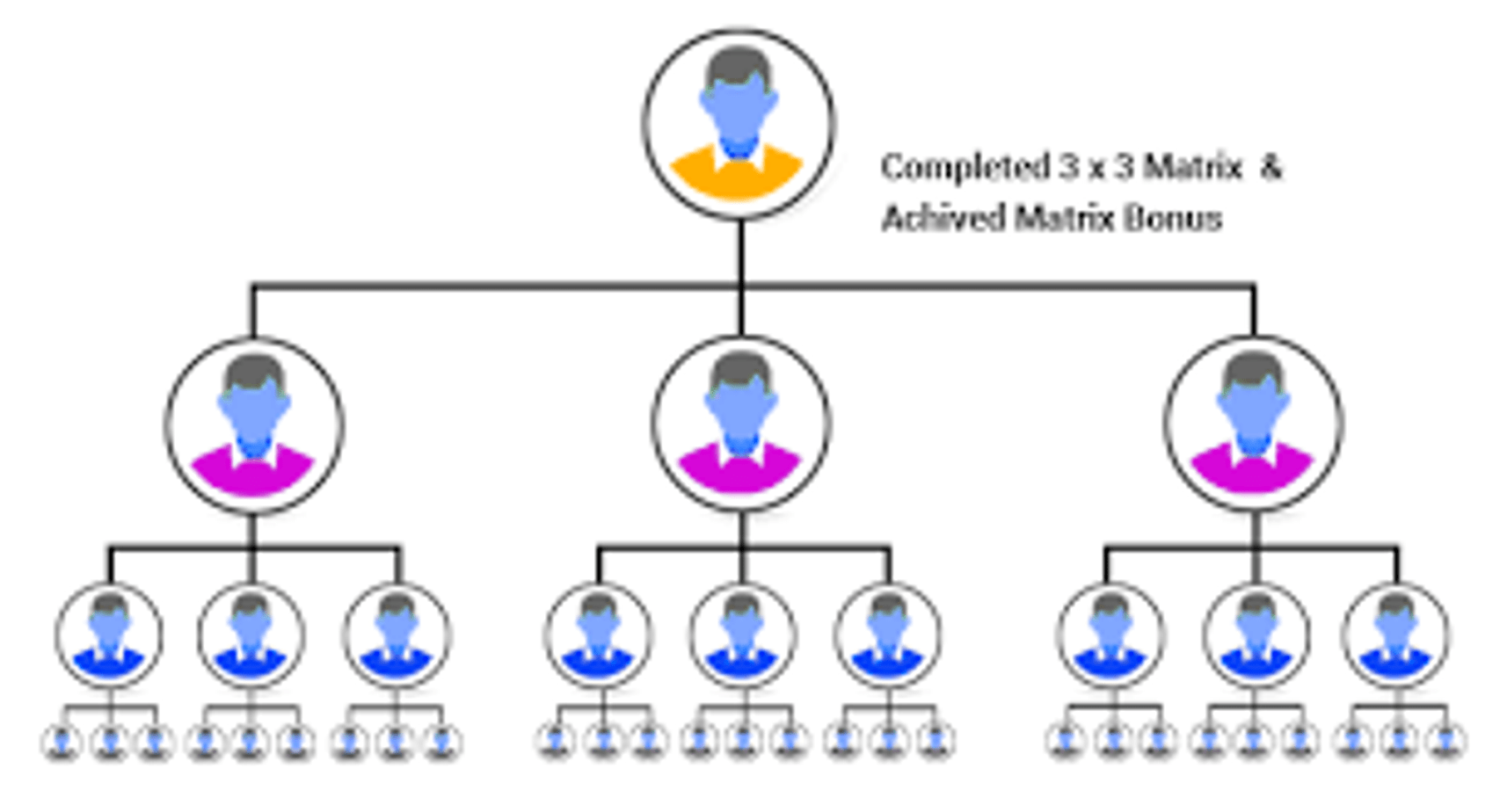 Leading Matrix MLM software development company in Delhi