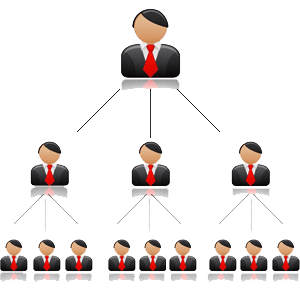 Leading Matrix MLM software development company in Delhi